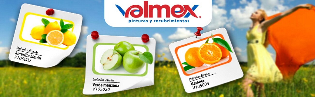 Valmex | Construex